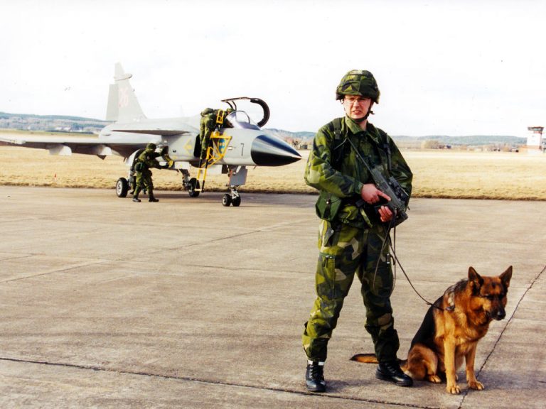 Small Arms | CBJ Tech